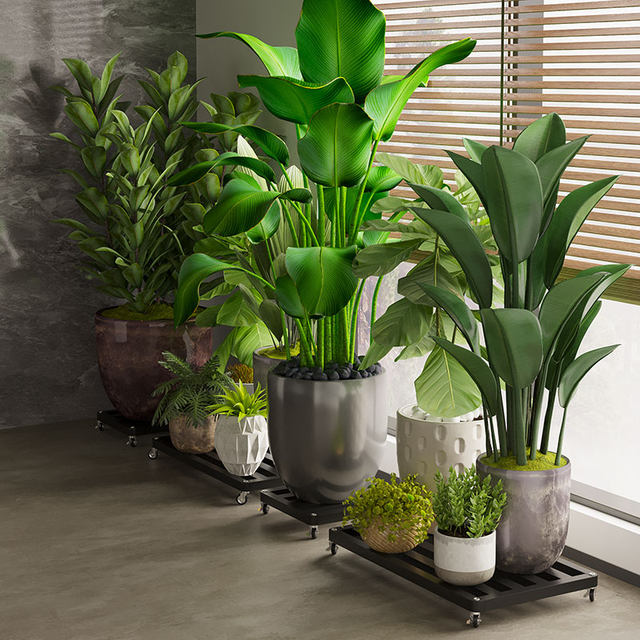 Furnishing square flower pot, water -connecting tray with wheel iron ...