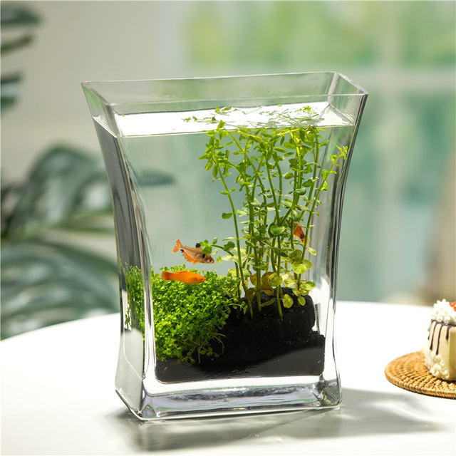 Creative glass fish tank ax cylinder desktop small aquatic box gold ...