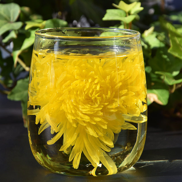 Chrysanthemum Tea Golden Emperor Chrysanthemum, a cup of heads, picked ...