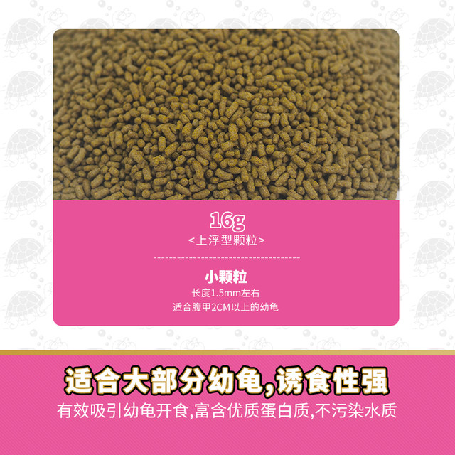 Inch Golden Turtle Food Feds Brazilian Csiculin Congress Turtle Grain ...