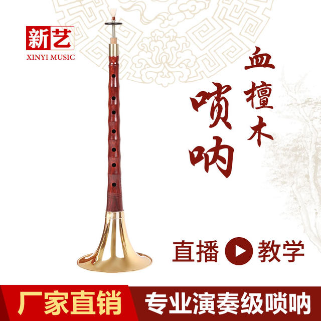 Xinyi suona musical instrument complete set for beginners and adults ...