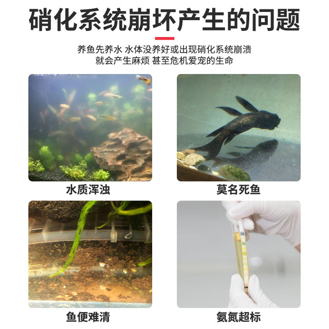 Veerang 4 nitrification bacterial solution for digestion of fish tank ...