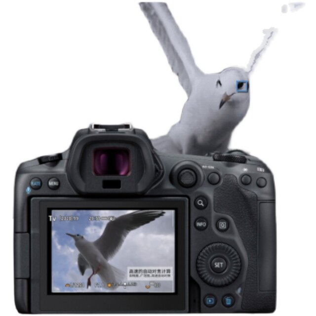 Canon EOS R5 8K camera single body flagship full-frame professional ...