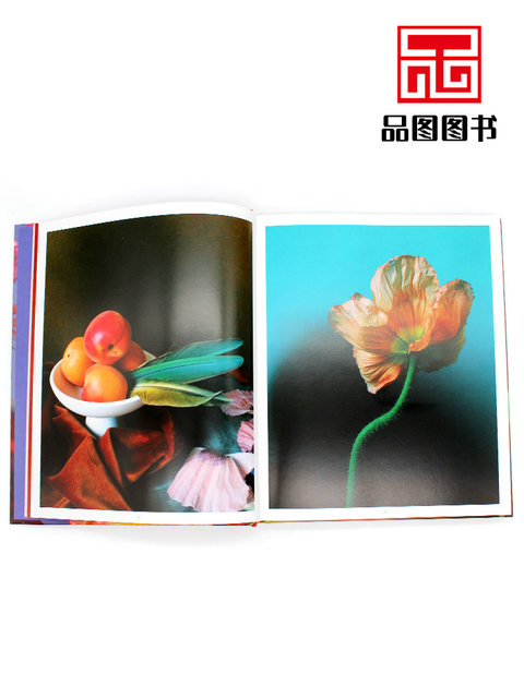 Spot Still Life Static Flower Creation Design Fashion Photography ...
