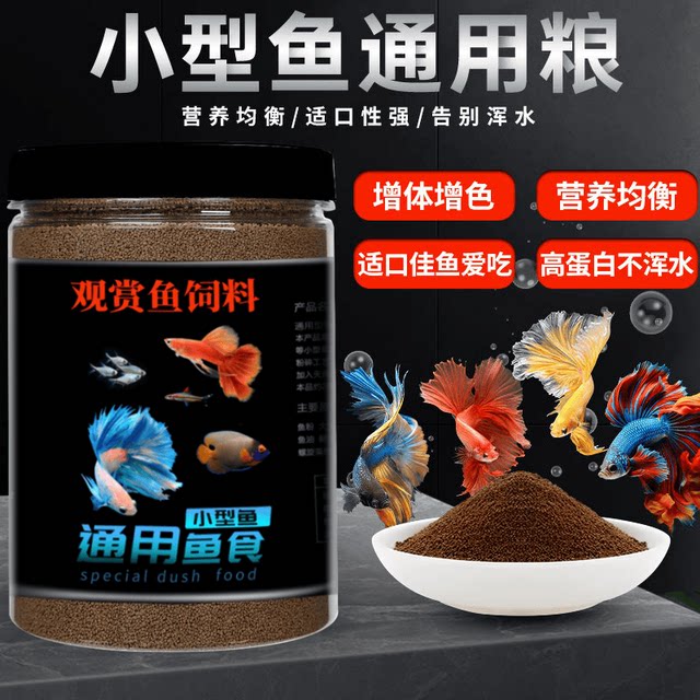 Zebrafish fish feed fish feed small fish eating betta goldfish ...