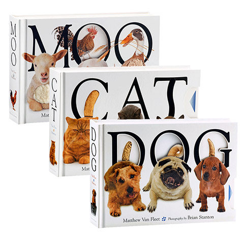 Matthew Van Fleet Animal Trio Moo Cat Dog Animal Operation Book Dance ...