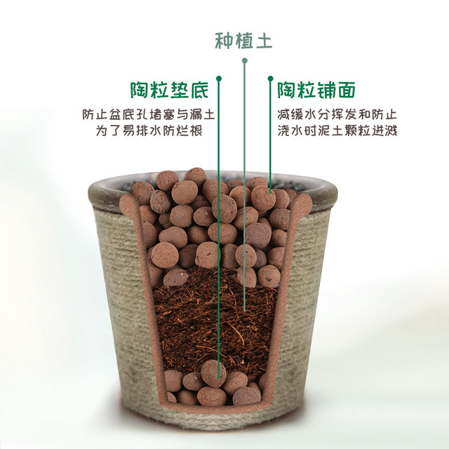 Ceramic pellet breathable bottom ceramic ball succulent nutritious soil ...
