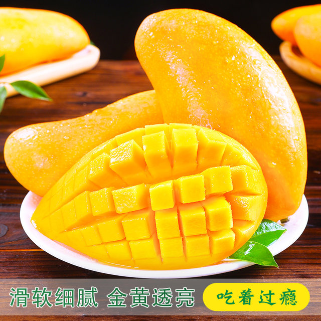 Hainan Jinhuang Mang 10Jin [Jin equals 0.5 kg] fresh mango fruits are ...