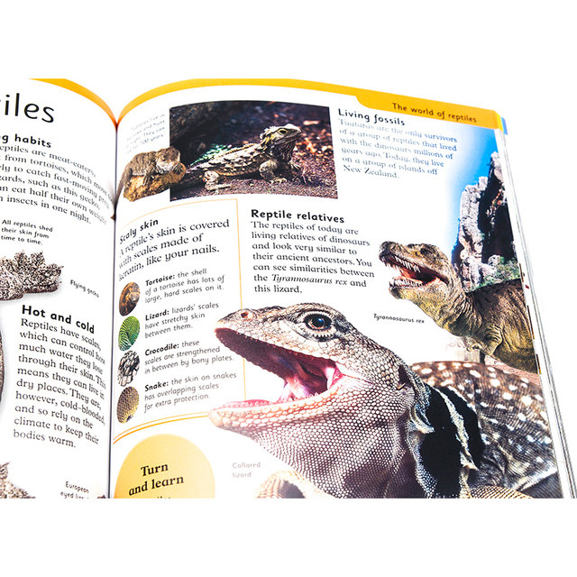 Spot DK animal encyclopedia First Animal Encyclopedia English original ...