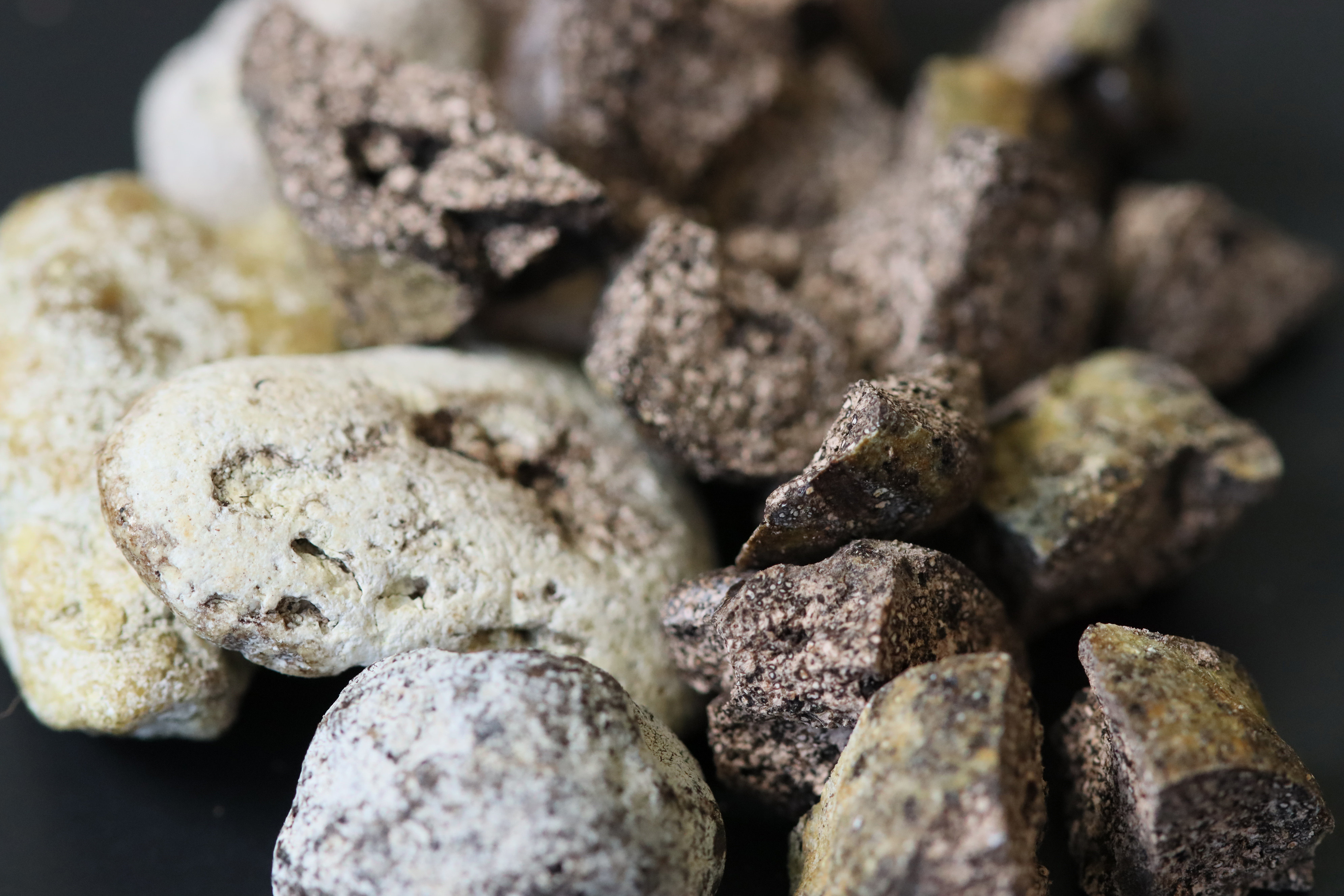 Plant Alchemy Ambergris Sperm Whale - Natural Co-Fragrance Raw Material