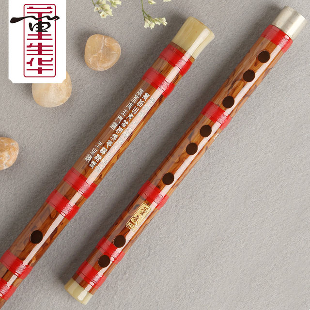Dong Shenghua flute junior adult zero basic professional examination ...