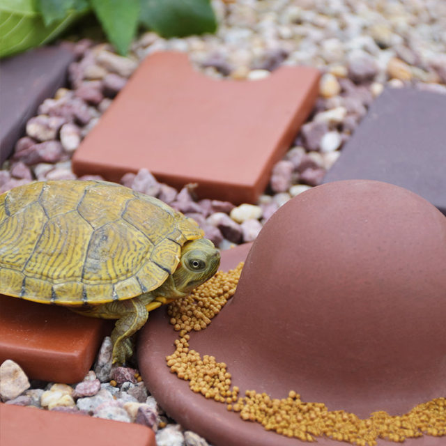 Yellow edge turtle feeding tray semi-aquatic turtle Anyuan turtle box ...