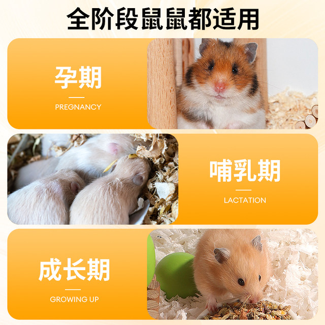 Bukaxing tripeworm dried hamster snack rudin chicken feed bird food ...