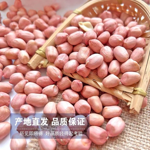 2024 Fresh and Plump Baisha Peanut Rice Big Baisha New Arrival Baipi Raw Peanut Rice Farmer ...