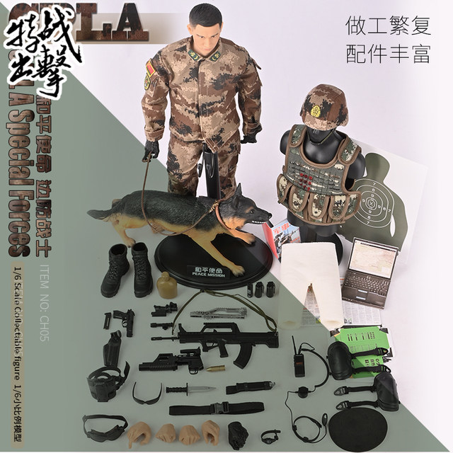 PLA military commemorative ornaments 1/6 People's Liberation Army Army ...