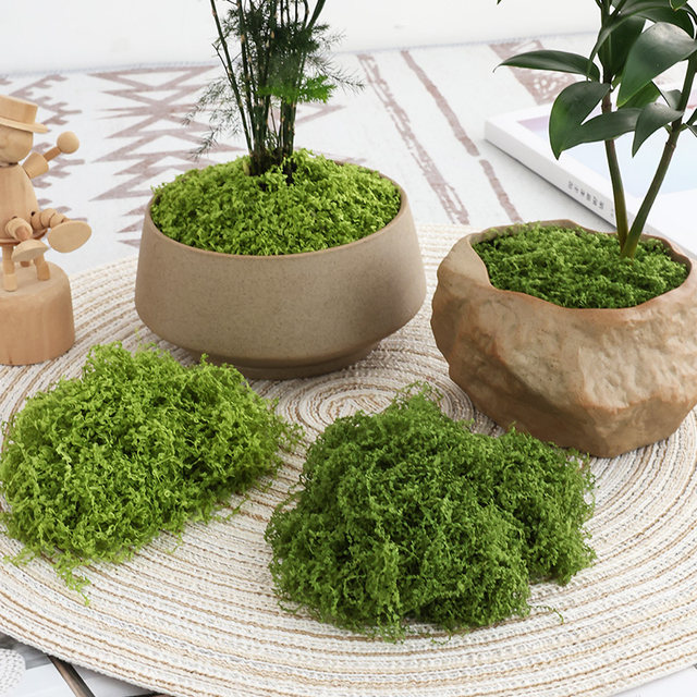 Simulated moss turf bionic artificial fake moss micro landscape layout ...