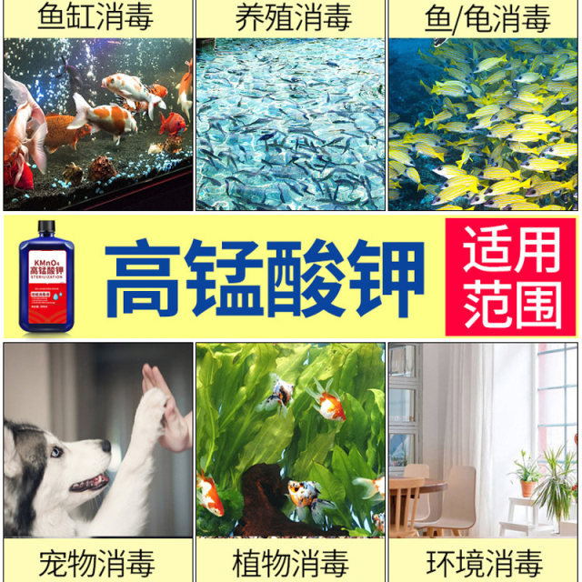 Potassium permanganate fish pond disinfectant solution turtle fish pond ...