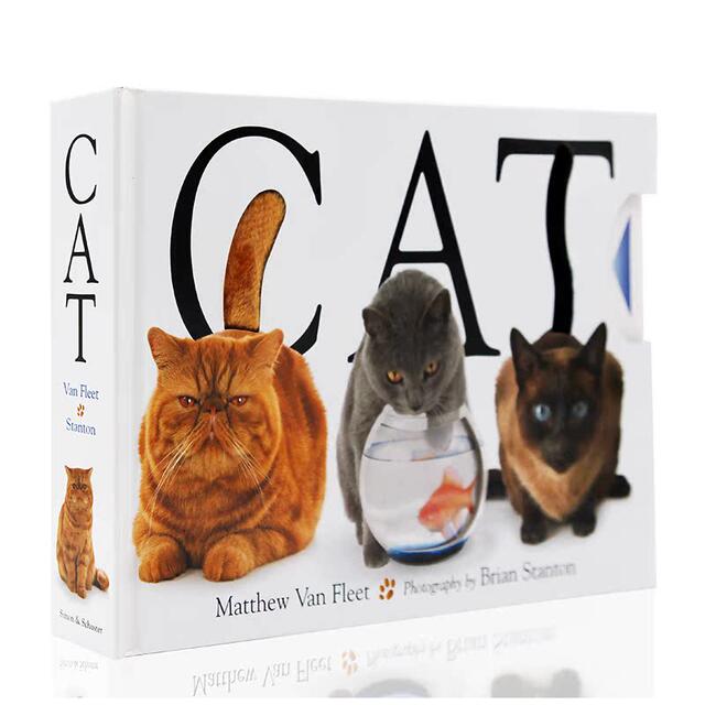 Matthew Van Fleet Animal Operation Book Animal Trio Moo Cat Dog Cat and ...