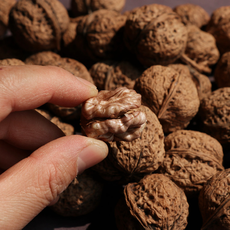 Yunnan Old Tree Walnuts - Sweet Purple Skin - 2.5kg (5 Catties)