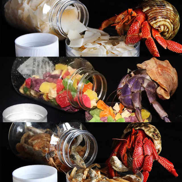 Huanju Crab Food Coconut Simpage Fruit, Dry Calcculent Pimblefish, Dry ...