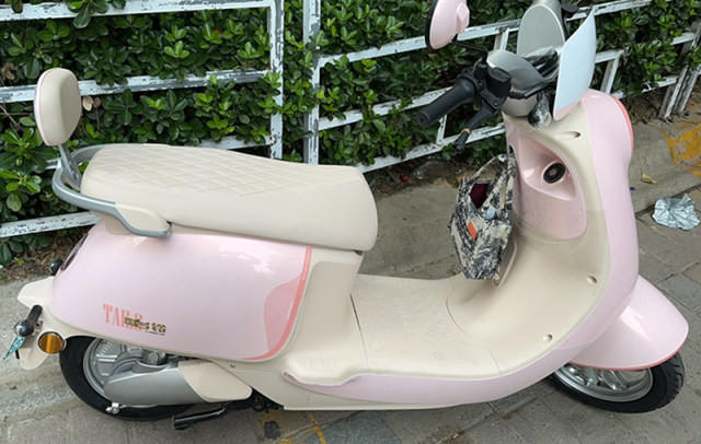 Tempon Mengni Super Energy Second-generation electric vehicle leather ...