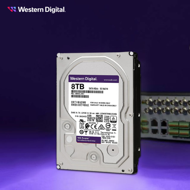 WD/Western Data 8TB Monitoring Hard Disk WD85PURZ Purple Disk 8T ...