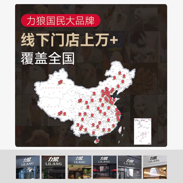 Limor Wolf Blog Dog Golden Dogs 15kg Installed Golden Master ...