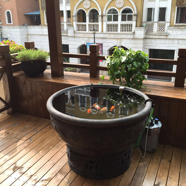 Ecological fish tank Old Beijing Fish Pot Basin Black Pot Fish Tank ...