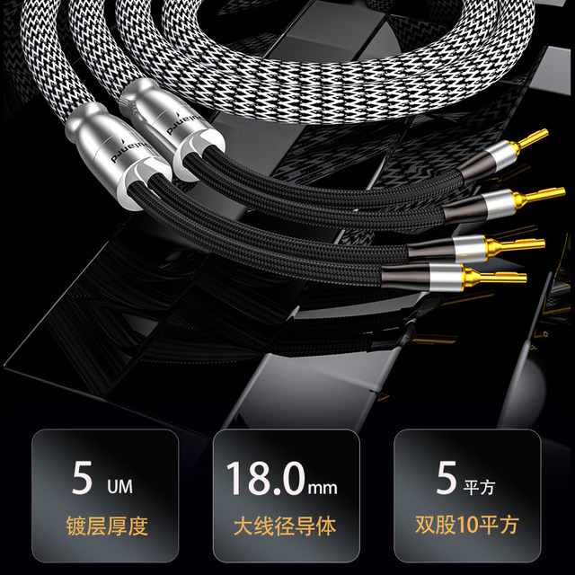 Da Yinlong 6N single crystal copper audiophile grade HIFI speaker cable ...