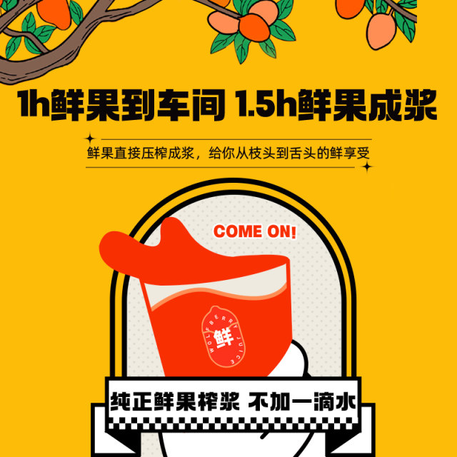 Qilixiang black wolfberry raw pulp early red 1.8L late black non ...