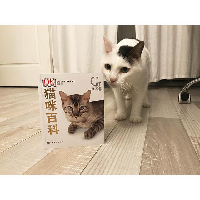 DK Cat Encyclopedia 70 Cat Science Pet Cat Illustrated Cat Feeding ...