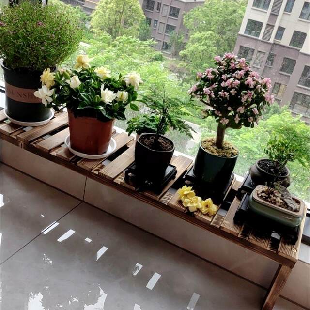 Balcony window sill along the wide flower stand, the shelves landed ...