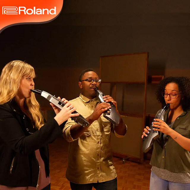 Roland electric hair tube AE01 electronic black wind instrument AE-01C ...