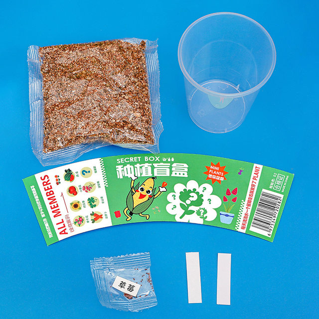 Plant potting blind box Students Children's Smash Ceremony Kindergarten ...