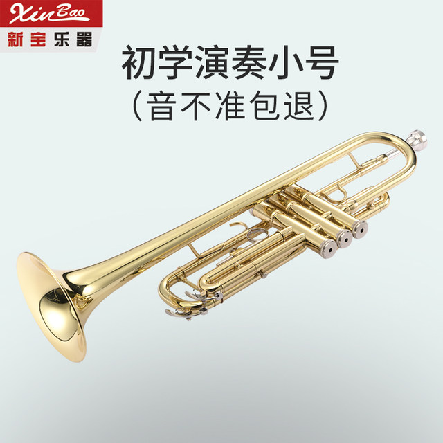 Xinbao trumpet brass trumpet junior high -school amateur small ...