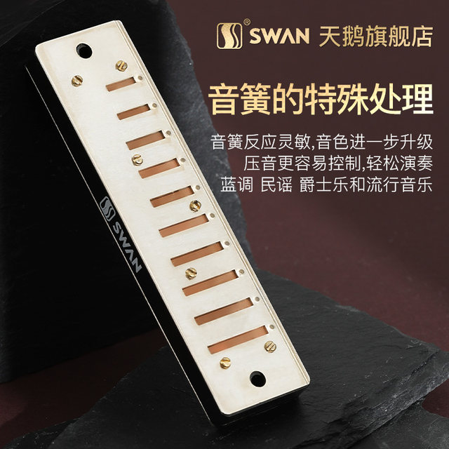 Swan Bruce Piano Ten Pole C Tun Children's Begiver Getting Started Professional 10 -hole Blues ...