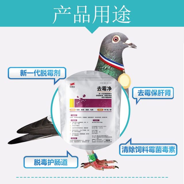 Heart -to -minded pigeon supplies racing pigeons to remove feed fungal ...