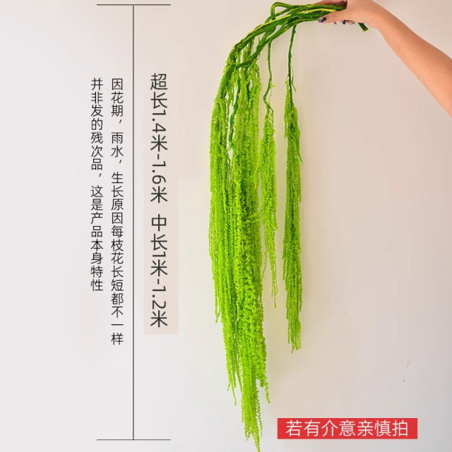 Hanging rice eternal flowers, soft silk wedding celebration red millet ...