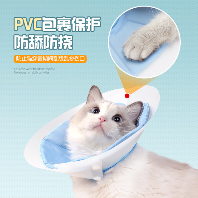 Elizabeth Cat Cat Cat after surgery, double -layer dual -layer two ...