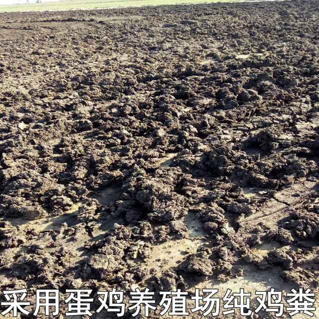 Decomposed and fermented pure chicken manure for planting fruits and ...