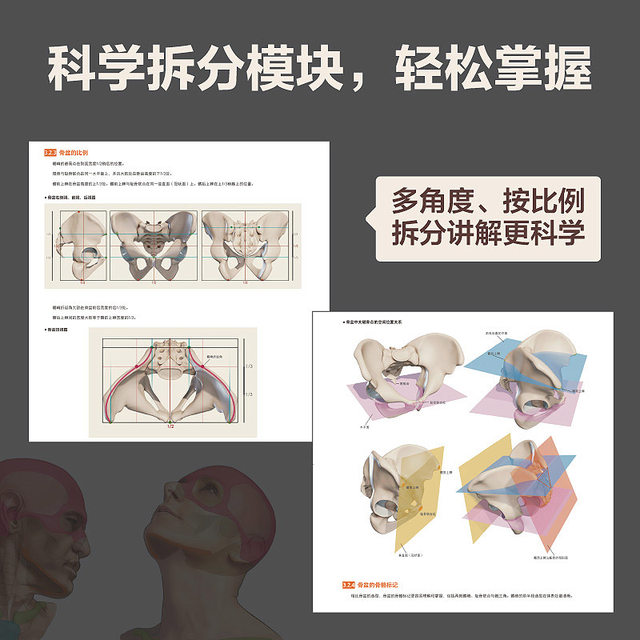 Anime human structural expression technique special training+art use of ...