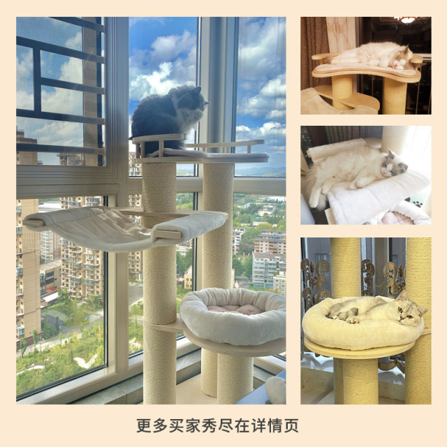Honeypot cat and cat climbing rack cat nest cat tower climbing column ...