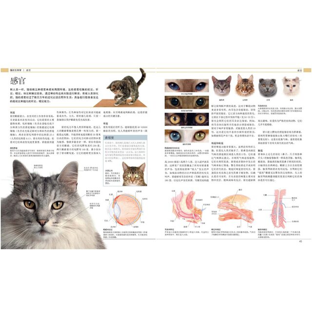 Dangdang.com DK cat encyclopedia genuine books