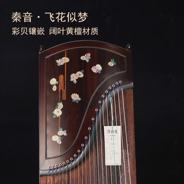 Qinyin Guzheng, Flying Flowers Like a Dream, No need to tune and play ...