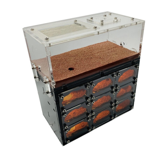 Sky City D version pet ant workshop cage breeding live ant nest acrylic ...