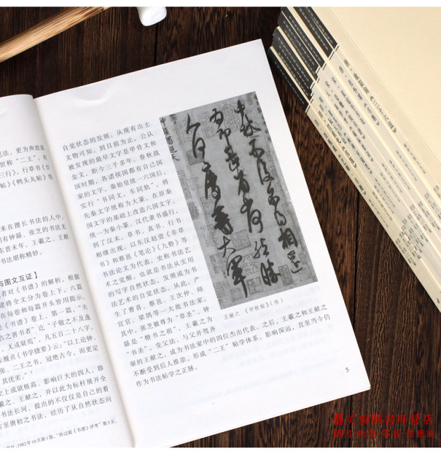 Theoretical study of Chinese calligraphy in past dynasties 10 volumes ...