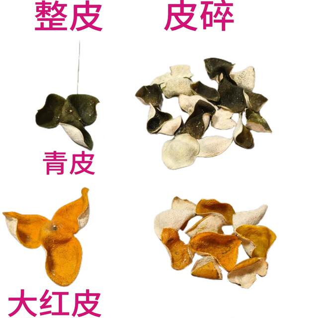2024 Xinhui Meijiang old tree circle branch tea branch mandarin fresh ...