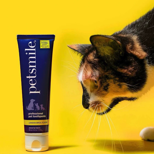 American Petsmile Pet Toothpaste Toothbrush Cats and Dogs Go to Sturdy ...