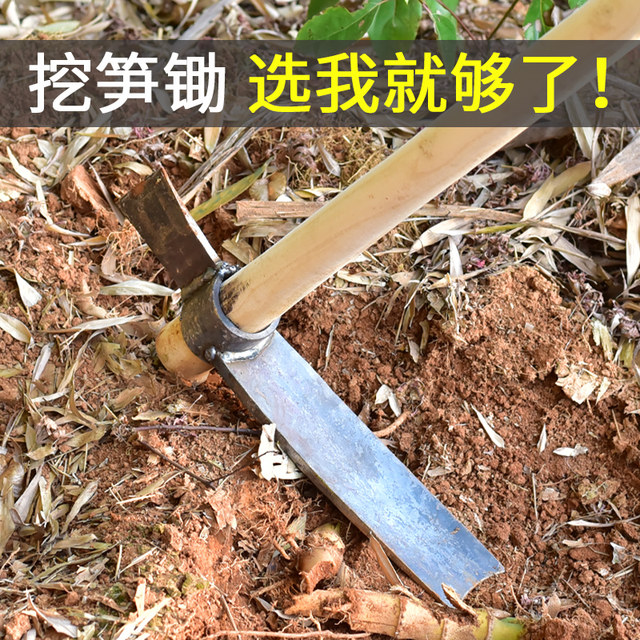 Digging of bamboo shoots, house -breed, planting tools, agricultural ...