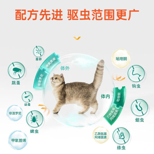 Bryan cat deworming and inner body inner and outside the body of the ...